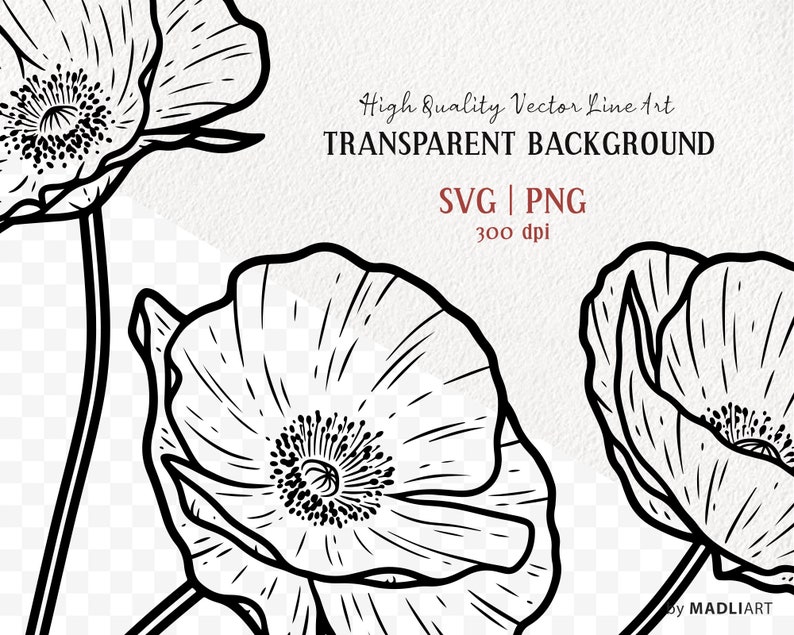 3 Poppy SVG Clipart Bundle. Poppy Vector Drawing. Wildflower Poppies ...