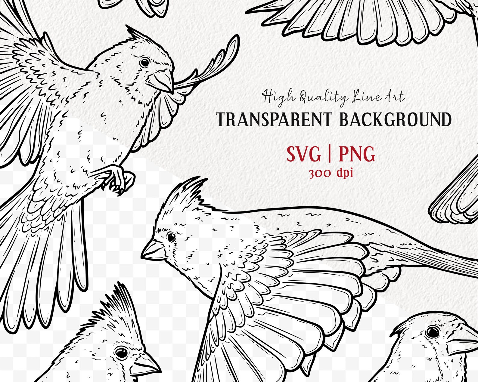 Cardinal Vector Clipart Bundle. Little Red Birds. Flying Birds Outline ...