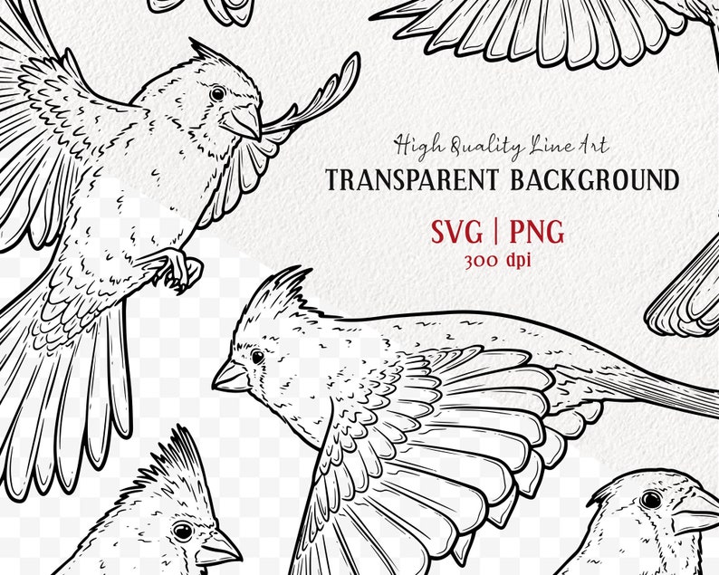 Cardinal Vector Clipart Bundle. Little Red Birds. Flying Birds Outline ...