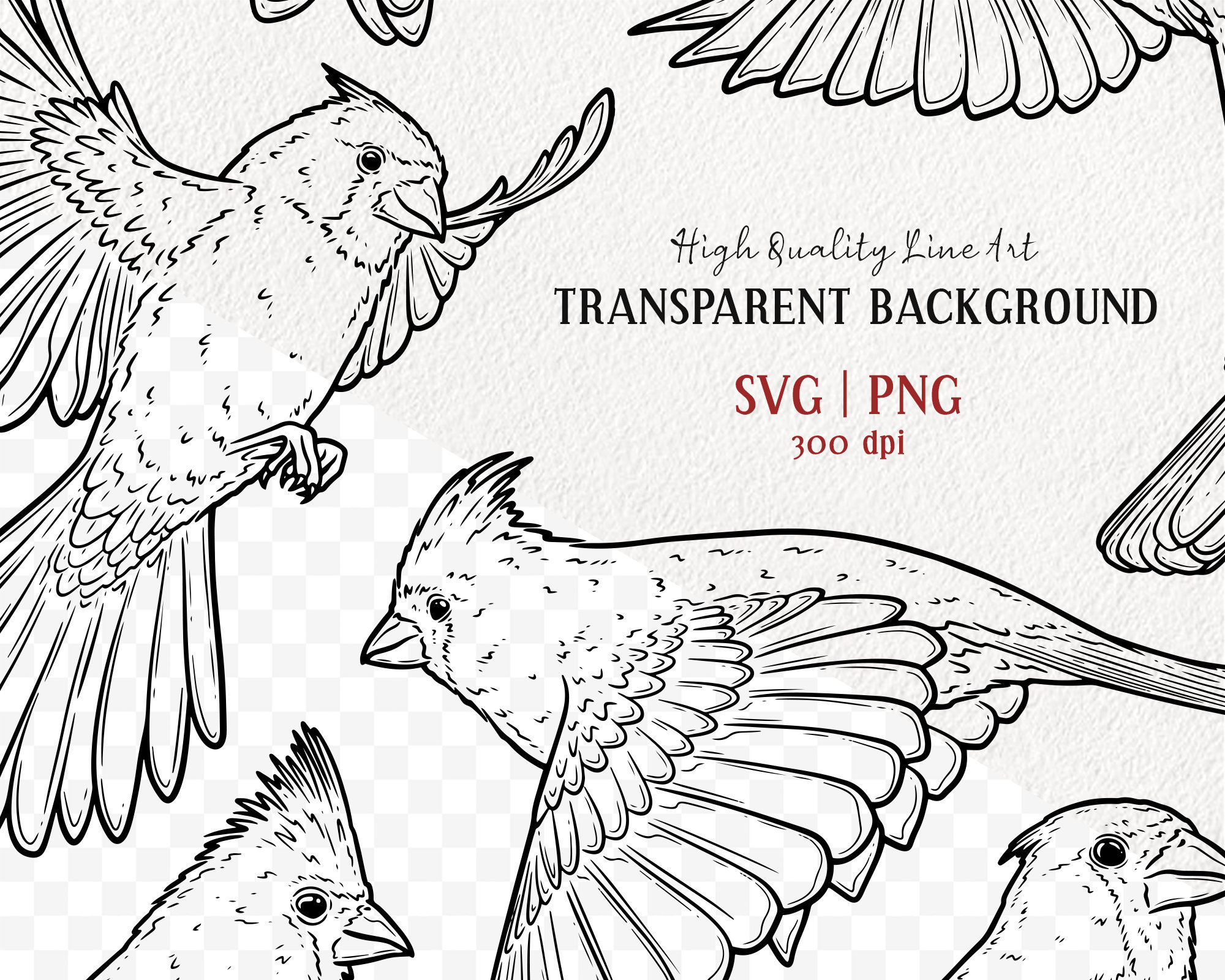 Cardinal Vector Clipart Bundle. Little Red Birds. Flying Birds Outline ...