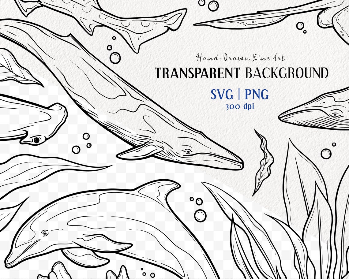 40 Ocean Animals Clipart Bundle. Sea Animals Vector Line Art. - Etsy