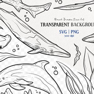 40 Ocean Animals Clipart Bundle. Sea Animals Vector Line Art. - Etsy