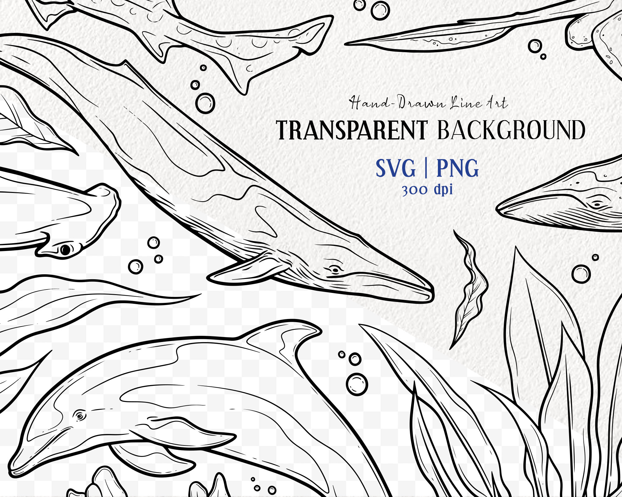 40 Ocean Animals Clipart Bundle. Sea Animals Vector Line Art. - Etsy