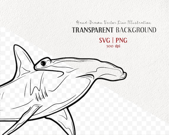 Hammerhead Vector