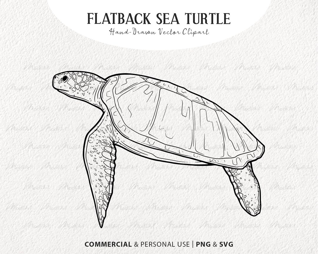 Flatback Sea Turtle Vector Clip Art. Sea Animal Artwork. Minimalistic ...