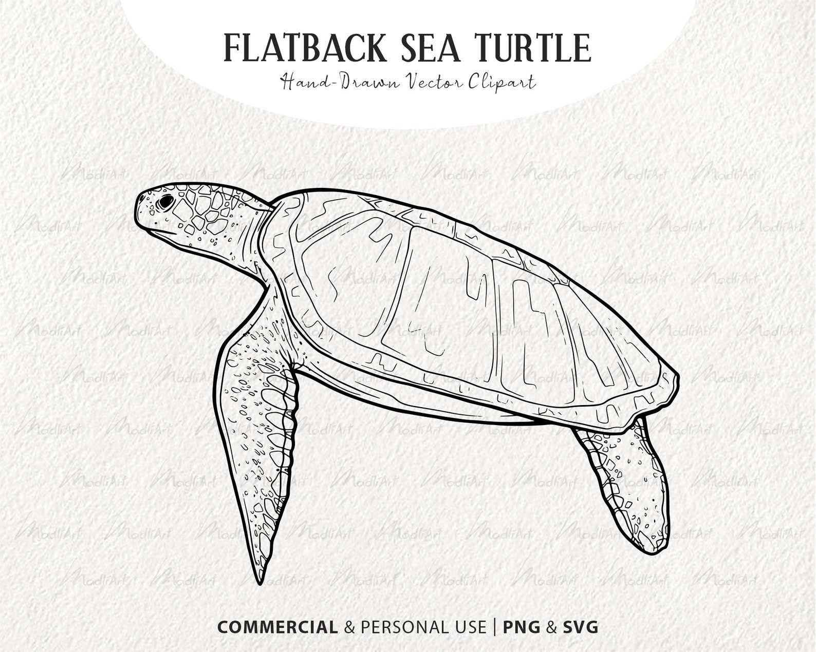 Flatback Sea Turtle Vector Clip Art. Sea Animal Artwork. Minimalistic ...