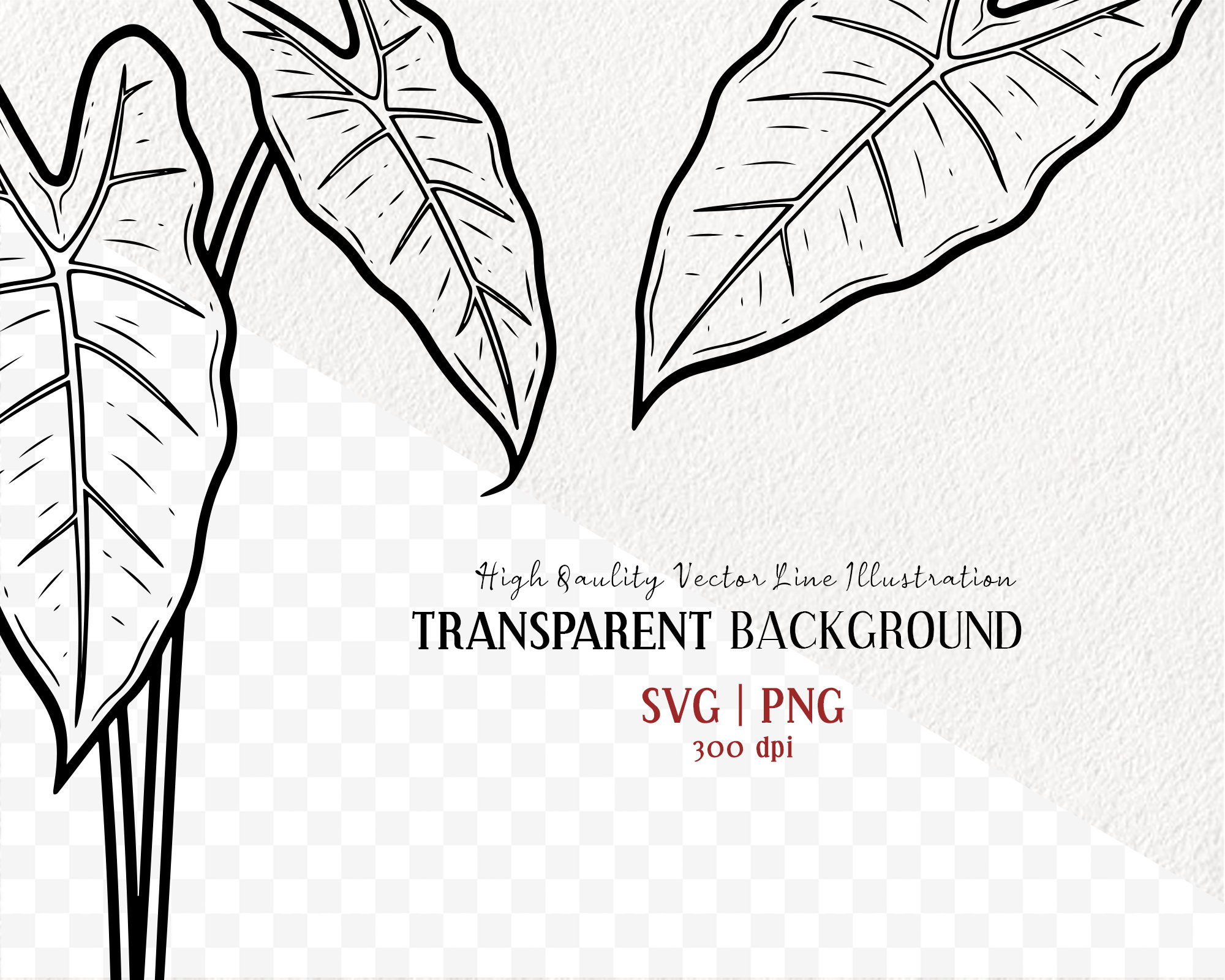 3 Tropical Alocasia Frydek Leaves Clipart Set. Jungle Plant Vector Art ...