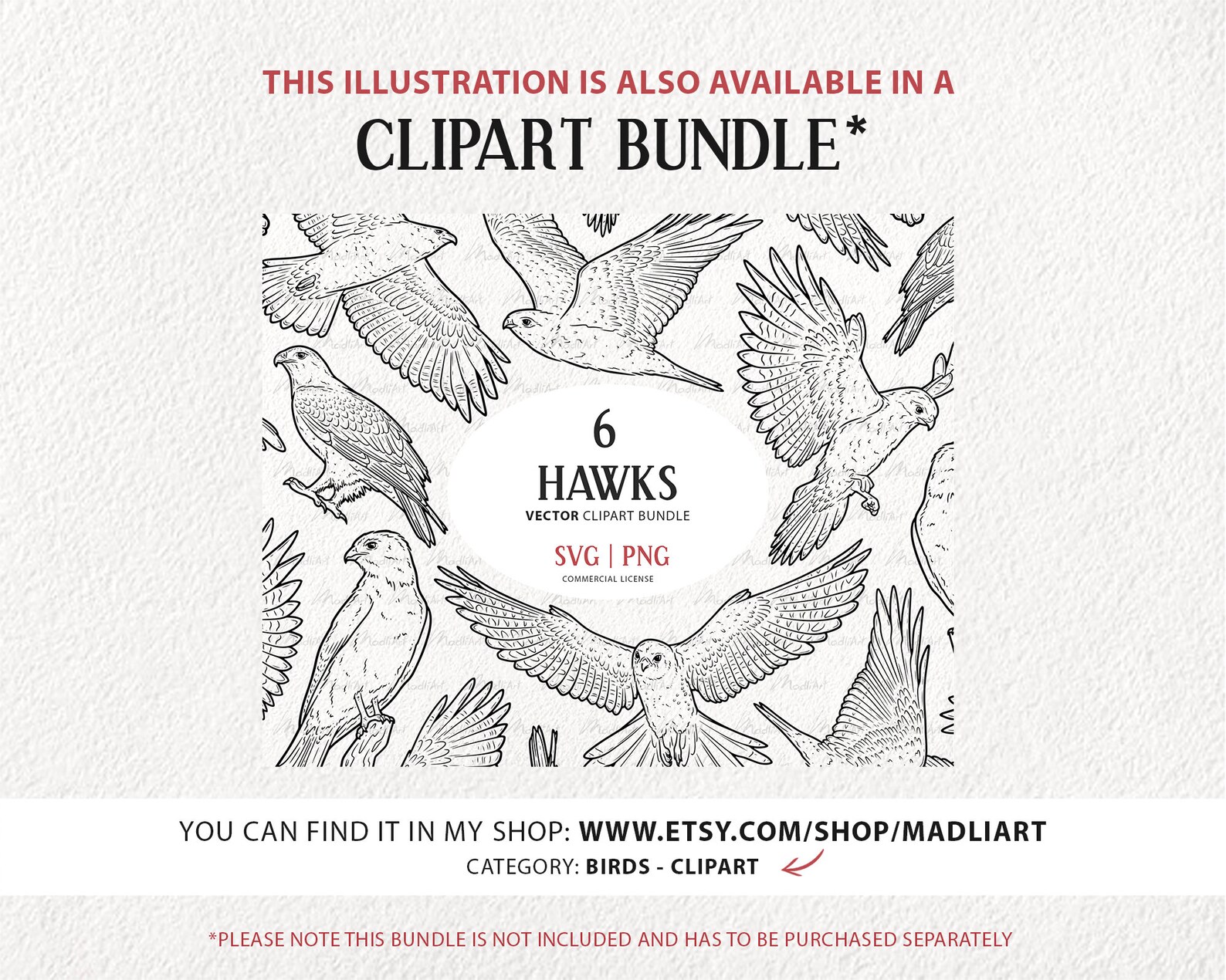 Hawk SVG Clipart Bundle. Eagle Vector Line Drawings. Bird of - Etsy