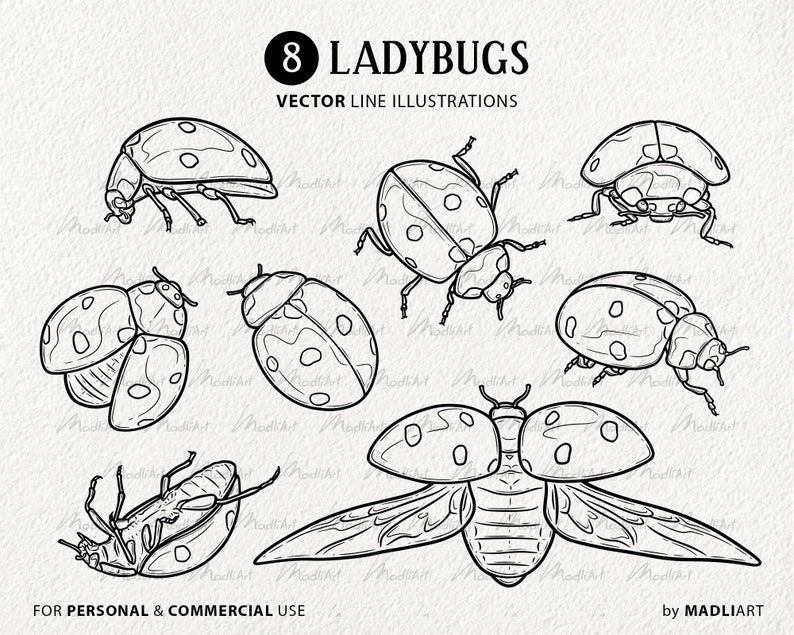 8 Ladybug Vector Clipart Bundle. Lady Bug Outline Stamps. Cute Love ...