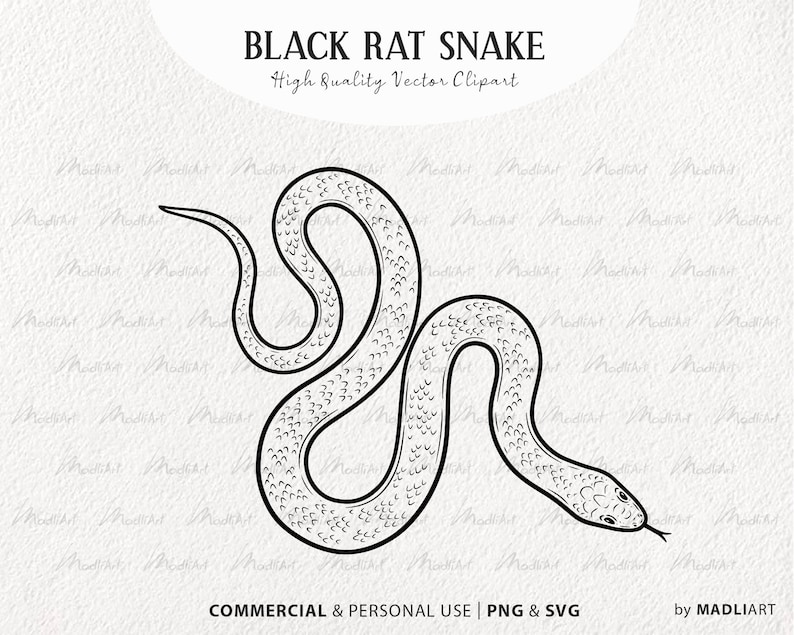 Rat Snake SVG Clipart. Snake Vector Drawing. Cobra Tattoo Design ...