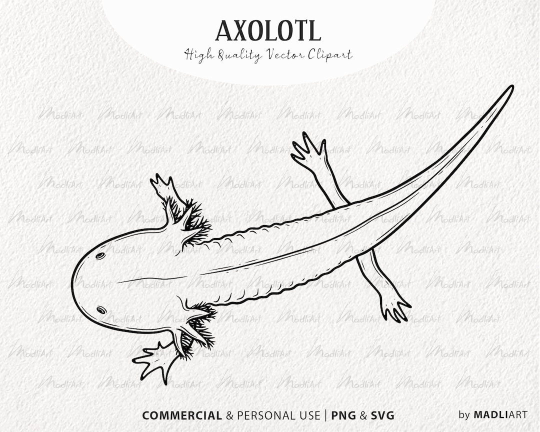 Axolotl SVG Clipart. Salamander Svg Art. Axolotl Vector Line Tattoo ...