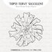 Topsy Turvy Succulent SVG Clipart. Desert Plant Vector Artwork. Simple ...