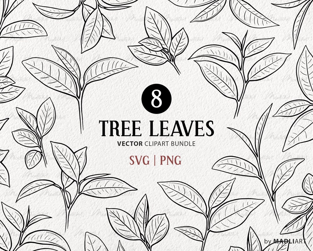 Small Leaves SVG Clipart Bundle. 8 Vector Spring Leaves. Botanical Line ...