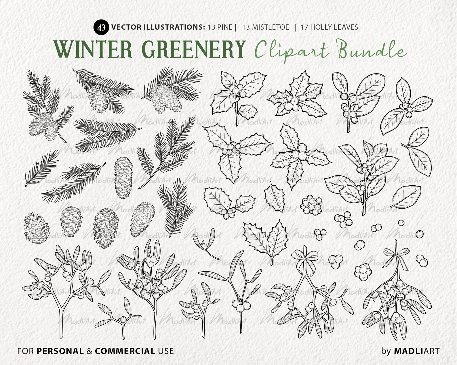 43 Winter Greenery Vector Clipart Bundle. Christmas Evergreen Plants ...