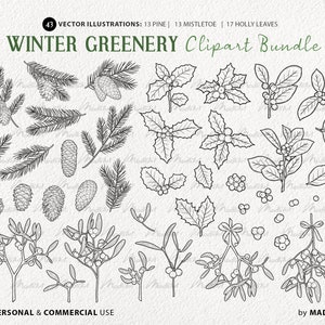 43 Winter Greenery Vector Clipart Bundle. Christmas Evergreen Plants ...