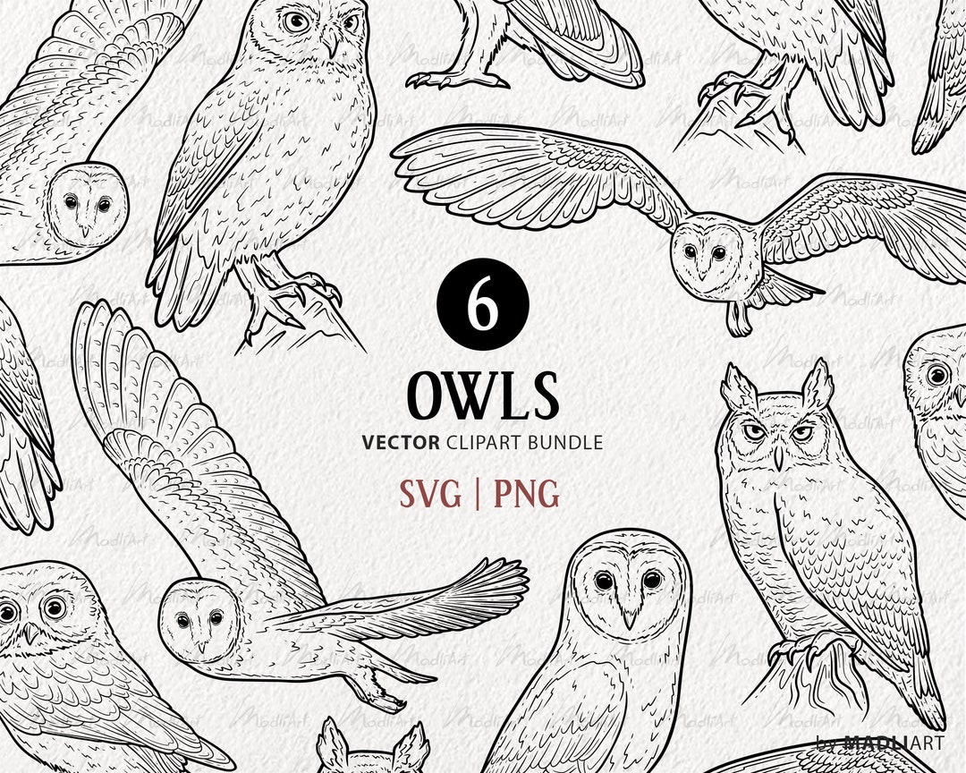 6 Owl SVG Bundle. Owl Clipart Line Drawings. Barn Owl, Horned Owl ...