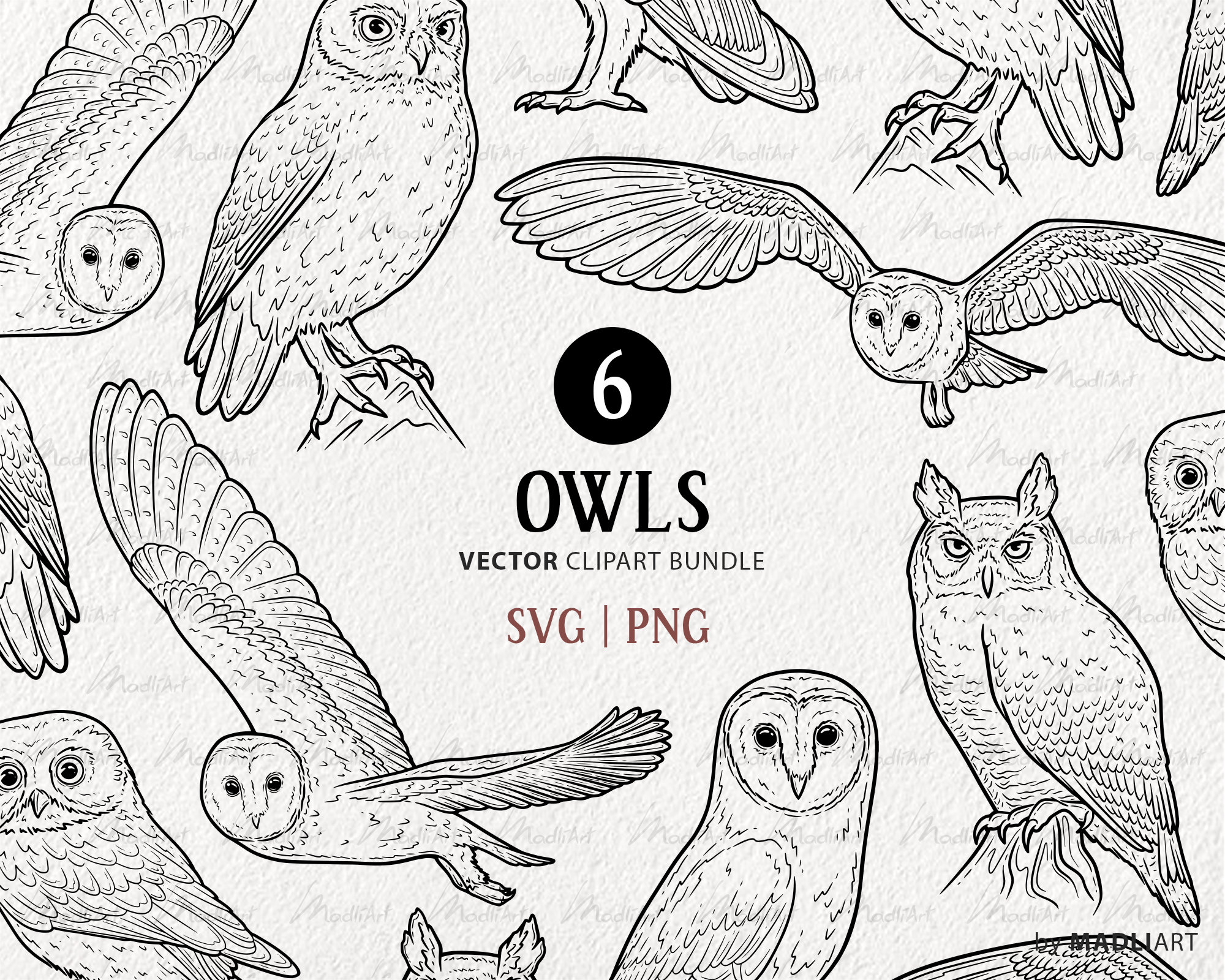 6 Owl SVG Bundle. Owl Clipart Line Drawings. Barn Owl, Horned Owl ...