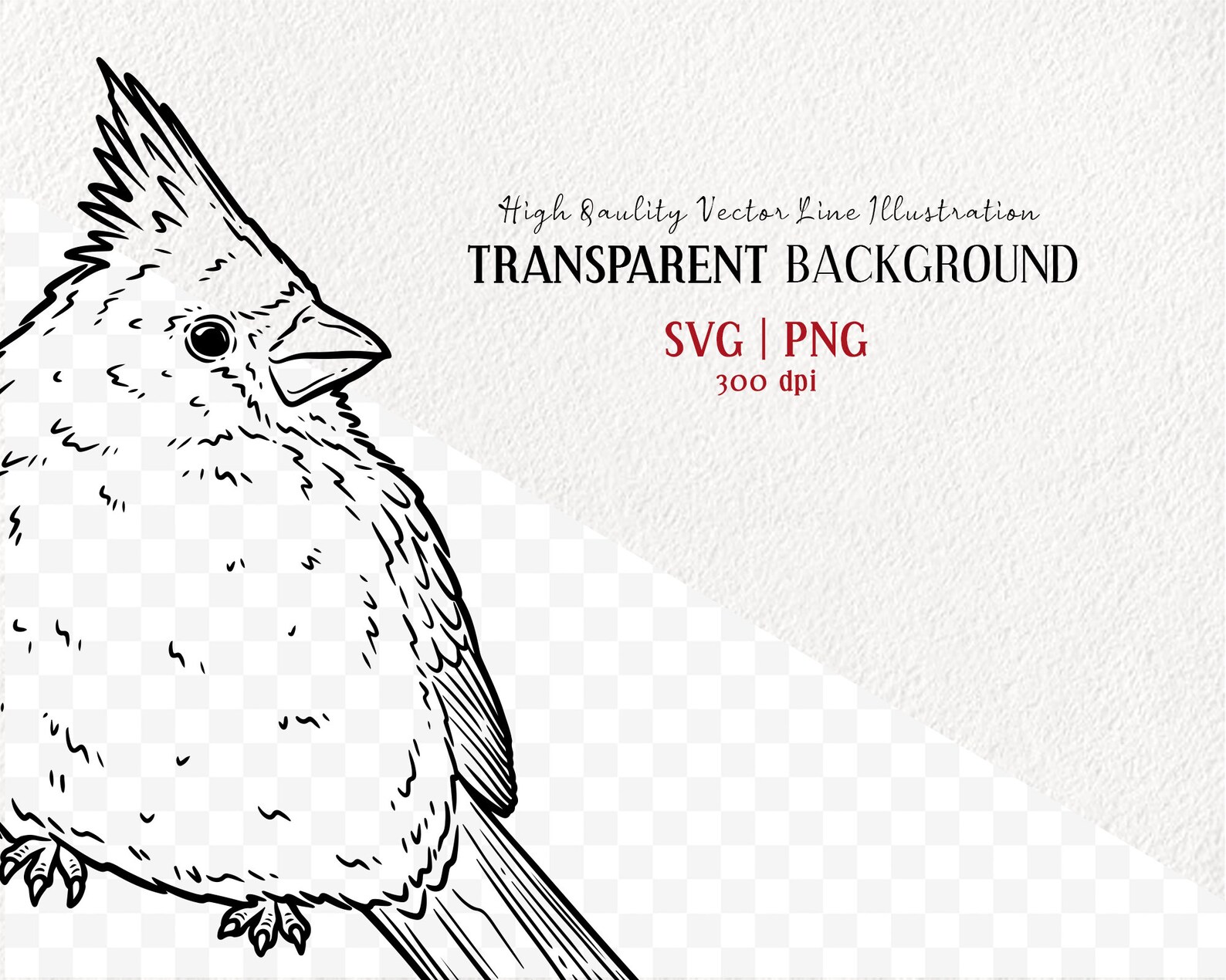 Cardinal Vector Clipart Bundle. Little Red Birds. Flying Birds Outline ...