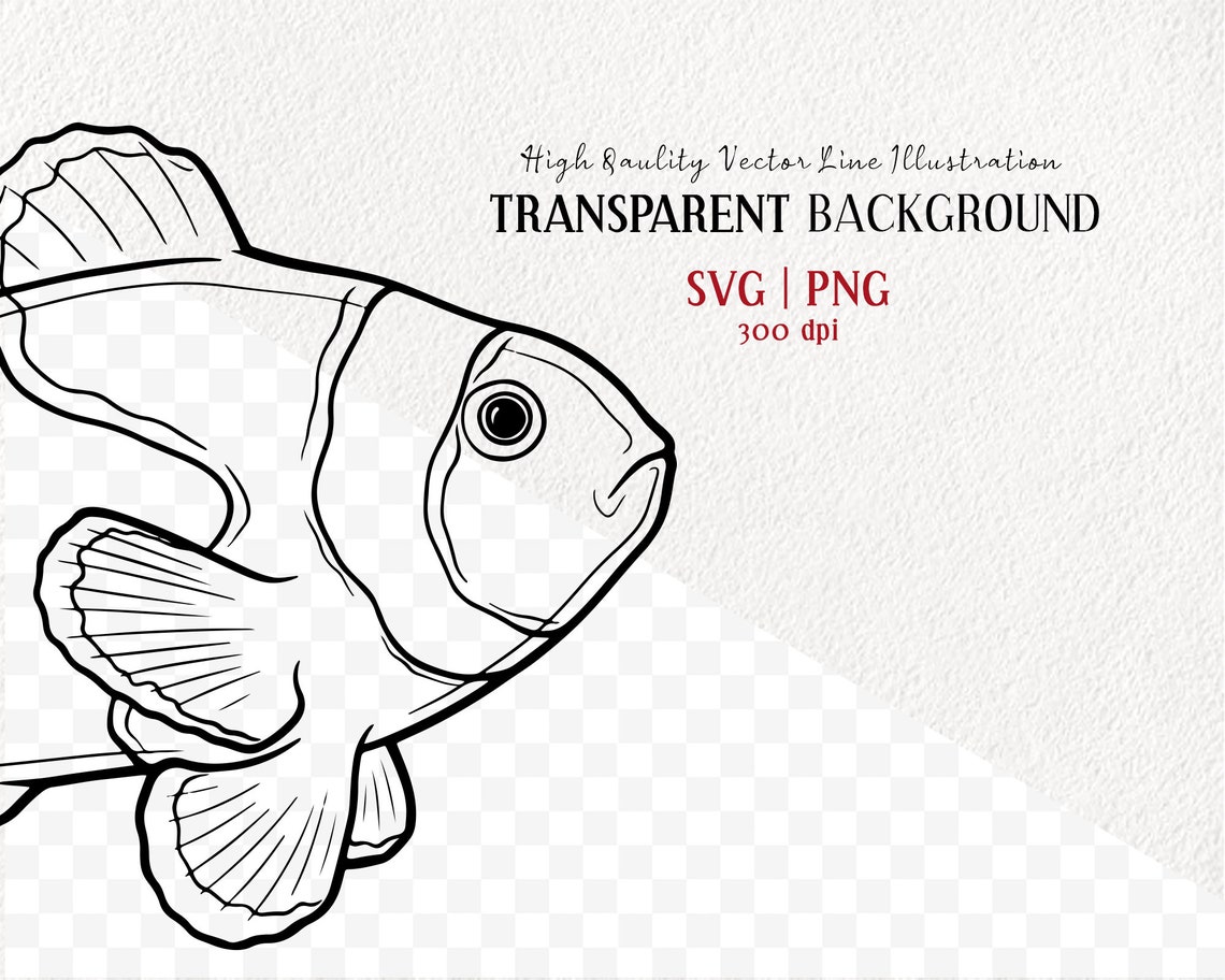 Clownfish Vector Clipart. Coral Reef Fish SVG Drawing. Ocean - Etsy