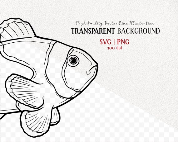 Clown Fish Drawing Outline