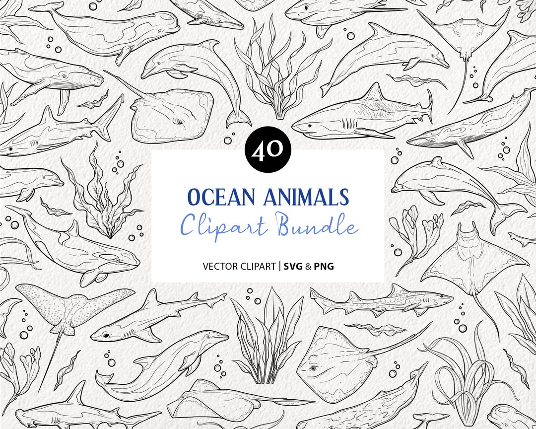 40 Ocean Animals Clipart Bundle. Sea Animals Vector Line Art. - Etsy