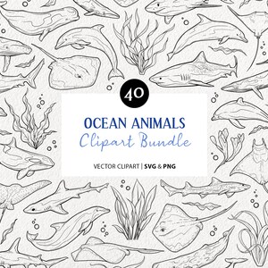 40 Ocean Animals Clipart Bundle. Sea Animals Vector Line Art. - Etsy