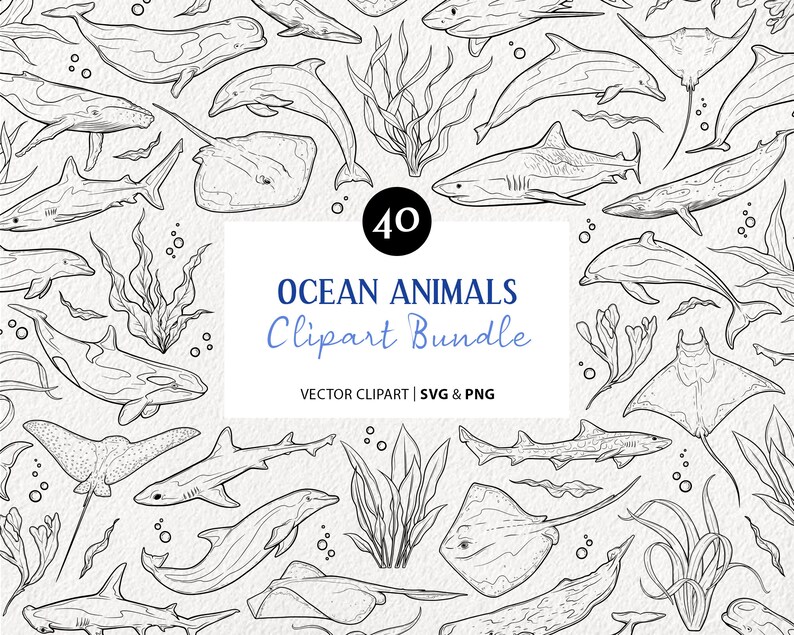 40 Ocean Animals Clipart Bundle. Sea Animals Vector Line Art. - Etsy