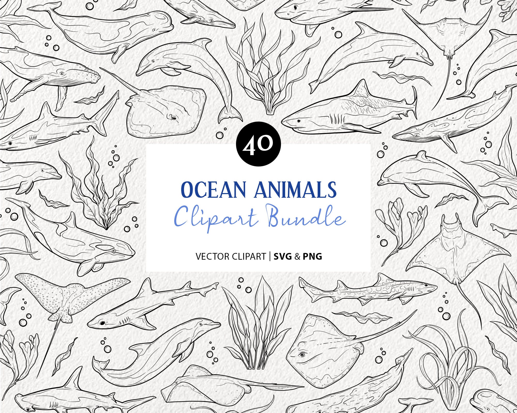 40 Ocean Animals Clipart Bundle. Sea Animals Vector Line Art. - Etsy