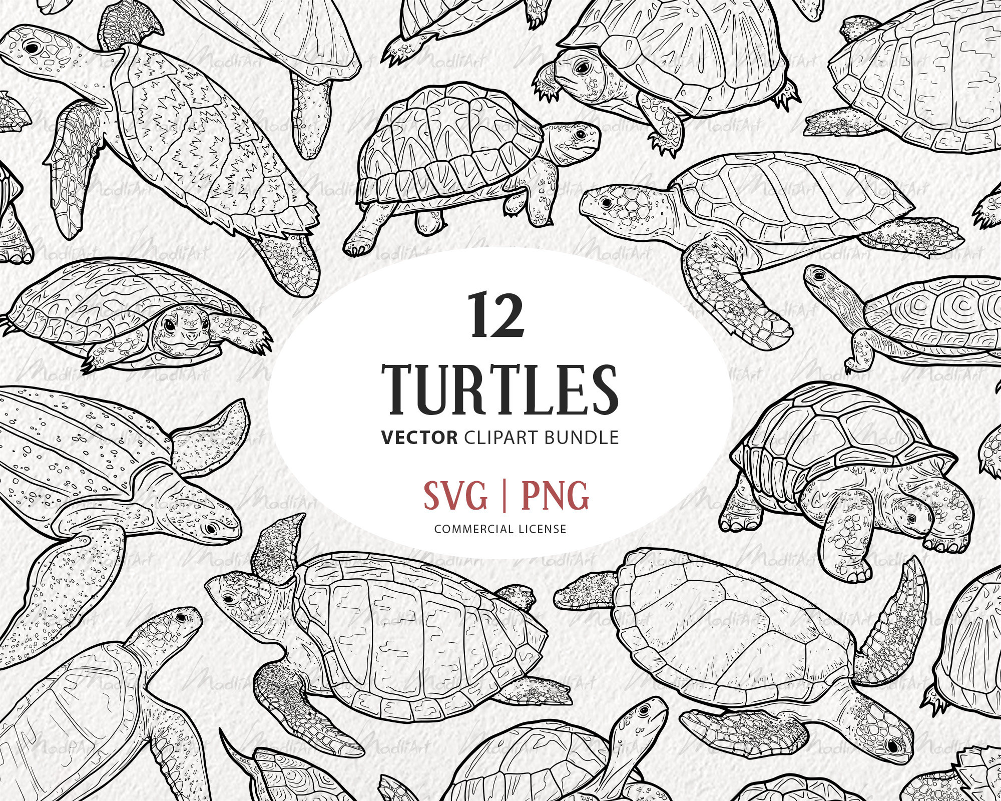 12 Turtles SVG Clipart Bundle. Sea Turtle & Land Tortoise - Etsy