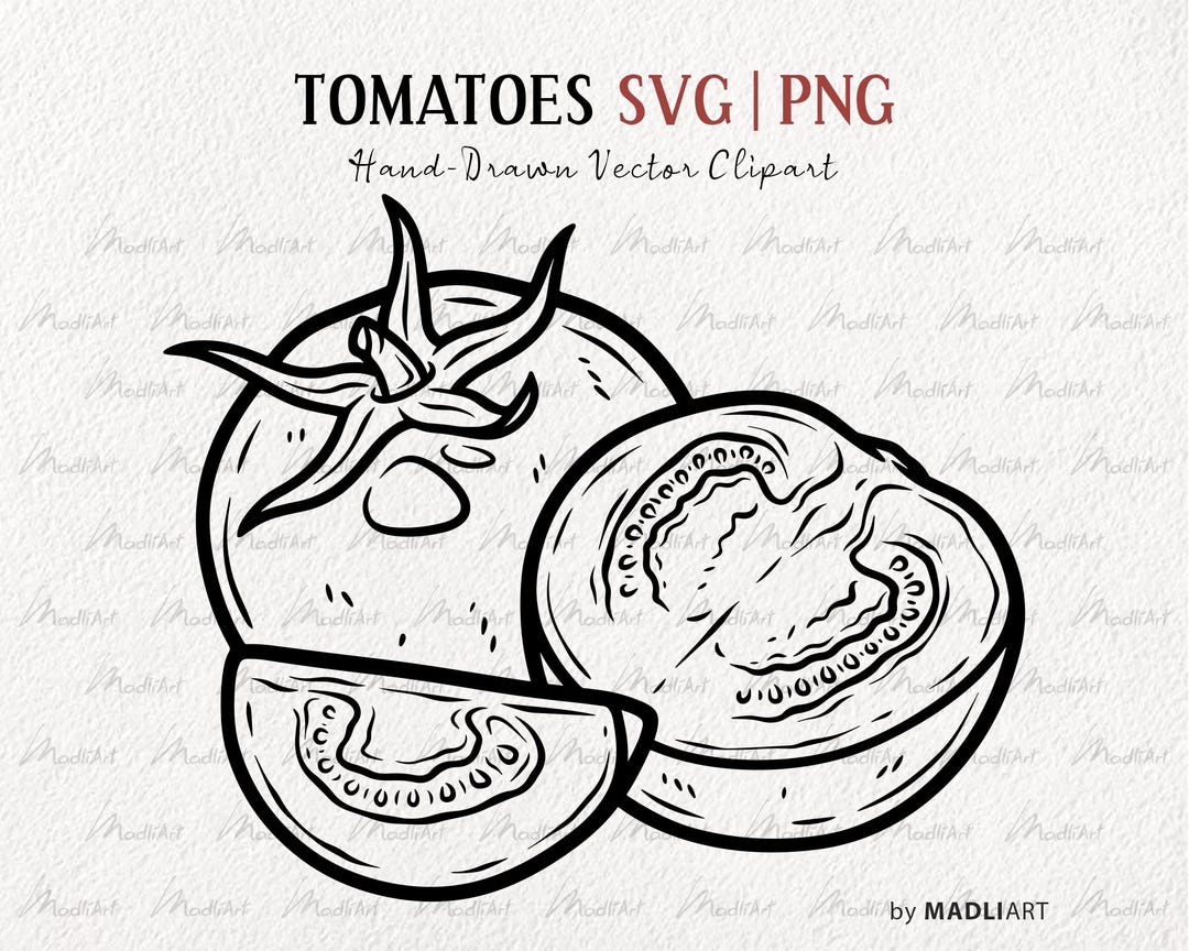 Tomato SVG Clipart. Tomato Vector Line Drawing. Tomato Vegetable ...