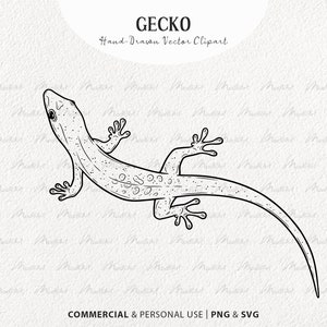 Gecko SVG Clipart. Lizard Vector Drawing. Leopard Gecko, Crested Gecko ...