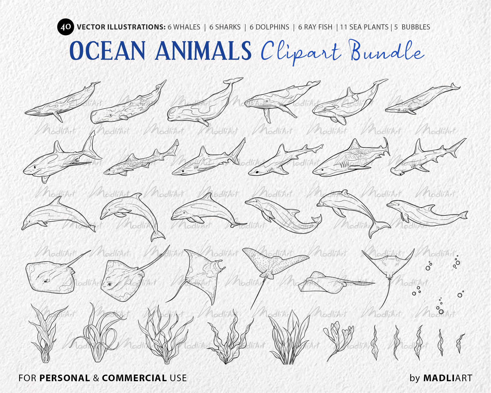 40 Ocean Animals Clipart Bundle. Sea Animals Vector Line Art. - Etsy