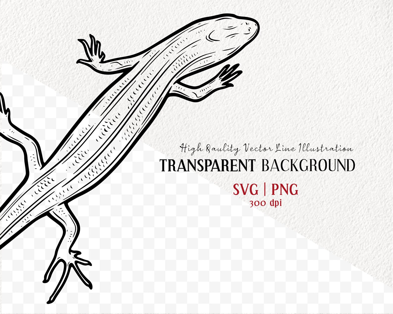 Blue-tailed Skink SVG Clipart. Snake Like Lizard Vector Drawing. Blue ...