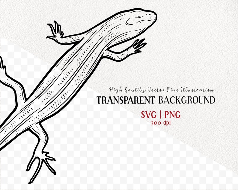 Blue-tailed Skink SVG Clipart. Snake Like Lizard Vector Drawing. Blue ...