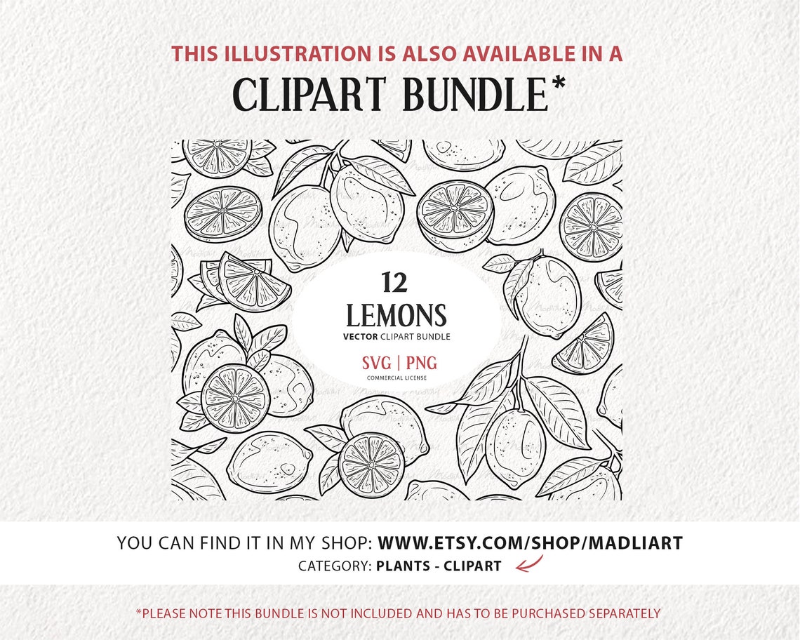 Lemon SVG Clipart. Vector Lemon. Lemon Tree Fruits. Citrus - Etsy