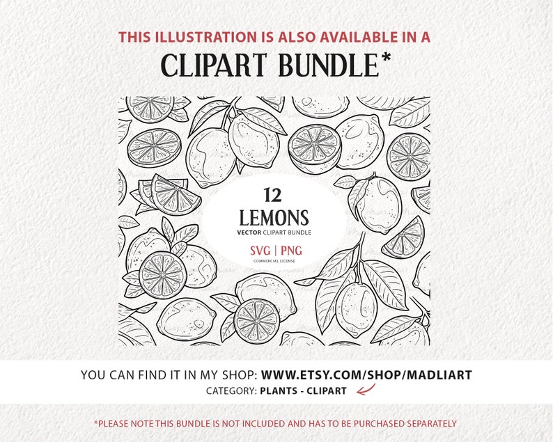 Lemon SVG Clipart. Vector Lemon. Lemon Tree Fruits. Citrus - Etsy