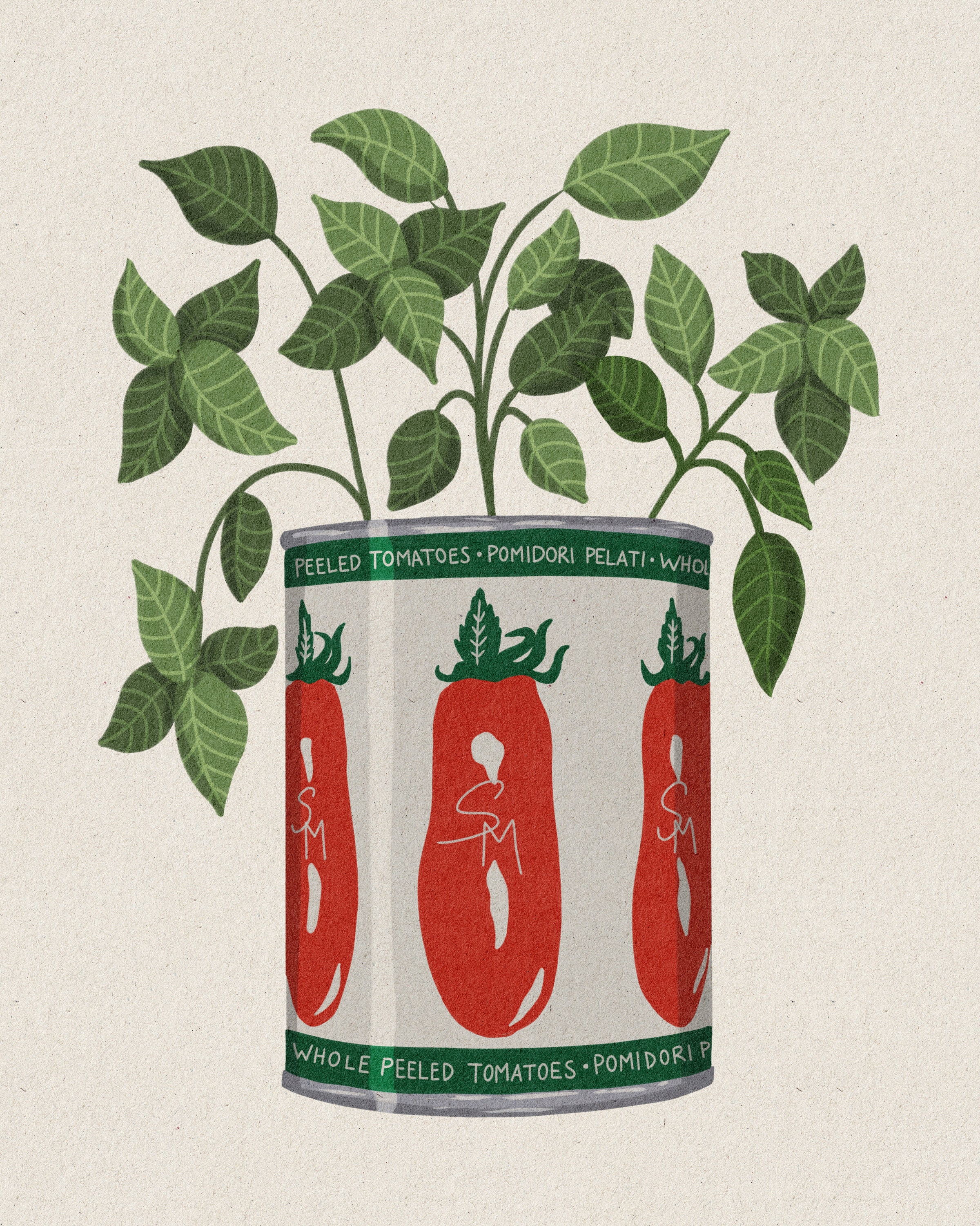 Tomato Basil Botanical Art Print: Kitchen Foodie Poster - Etsy