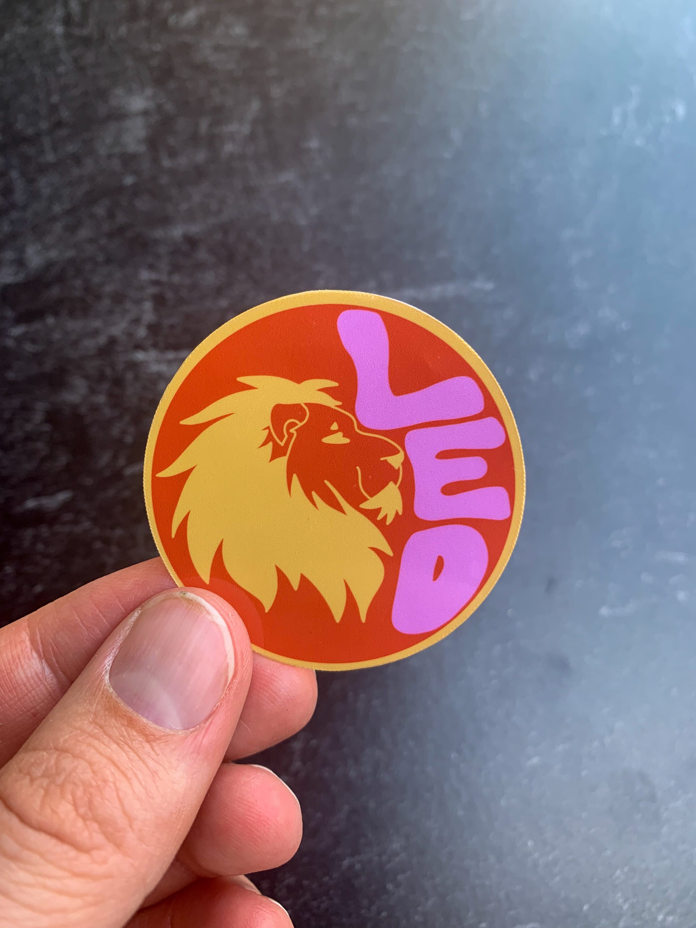 Leo Zodiac Sticker: Weatherproof Astrology Gift - Etsy