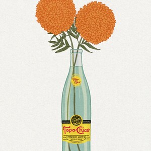 Topo Chico Botanical Sticker Waterproof | Topo Chico Sticker | Topo ...