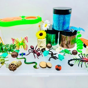 Nature Lovers Playdough Kit, Bug Playdough Kit, Nature Playdough Kit, Sensory Kit, Sensory Bin ...