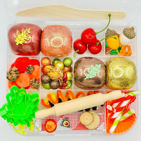 Playdough Kit - Etsy