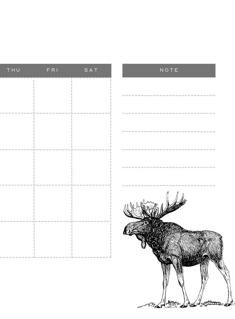 12 Designs Blank Calendar Bundle Printable Calender Digital - Etsy