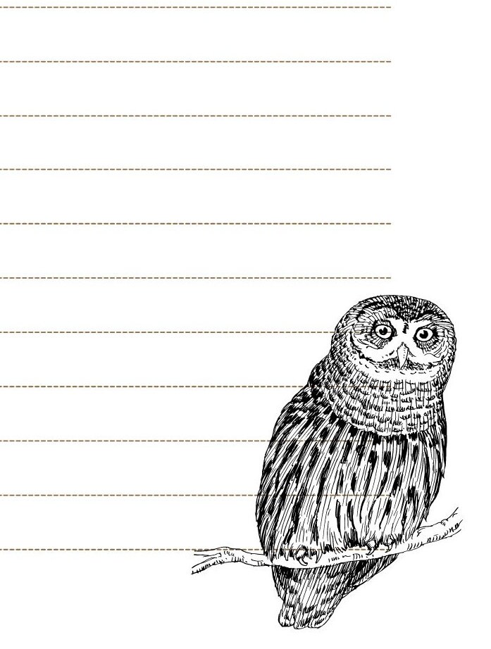 Hand Drawn Animals Letter Writing Bundle, A4/8.5x11 Letter Sizes ...