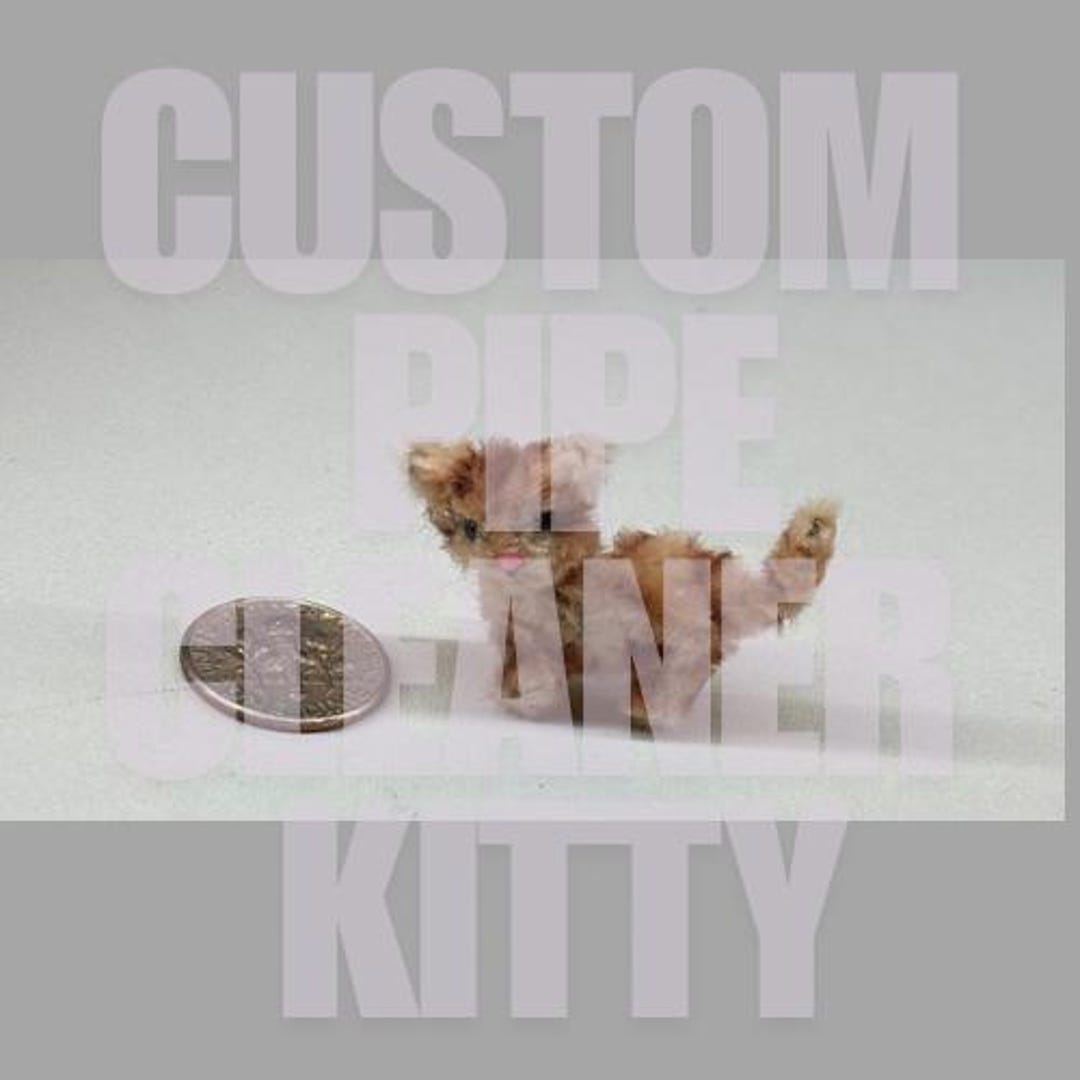 Custom Pipe Cleaner Cat for Molly - Etsy