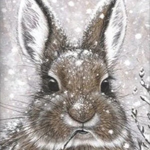 Bunny round 30x40cm Diamond Painting Kit - Etsy