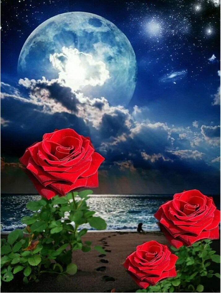 Moon Rose (round) 30x40cm Diamond Art Kit - Etsy