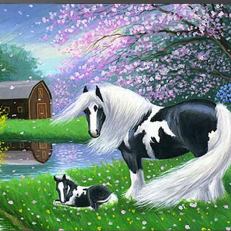 Gypsy Vanner - Etsy