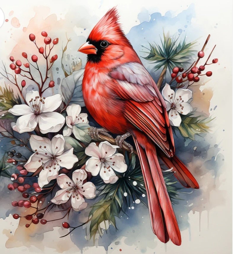 Cardinal (round) 40x40cm Diamond Art Kit - Etsy