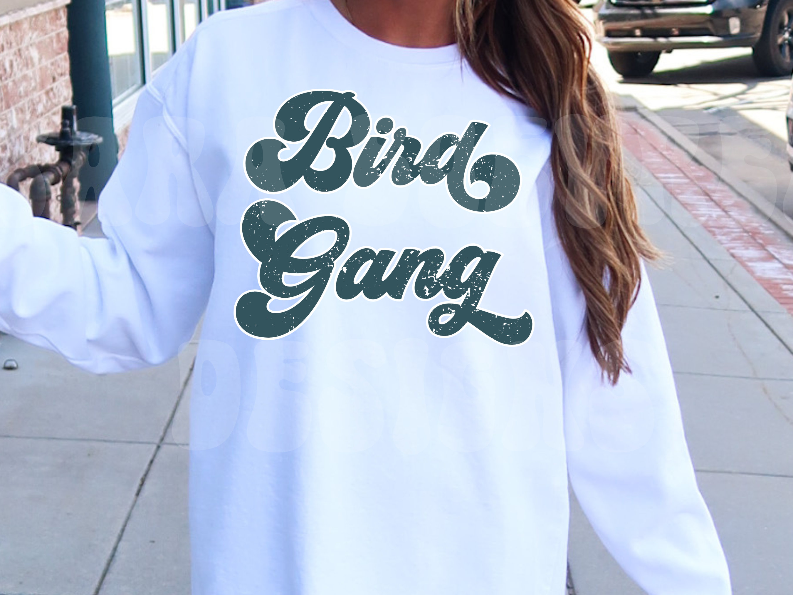Bird Gang Distressed Bird Gang Eagles Png Philly Retro - Etsy