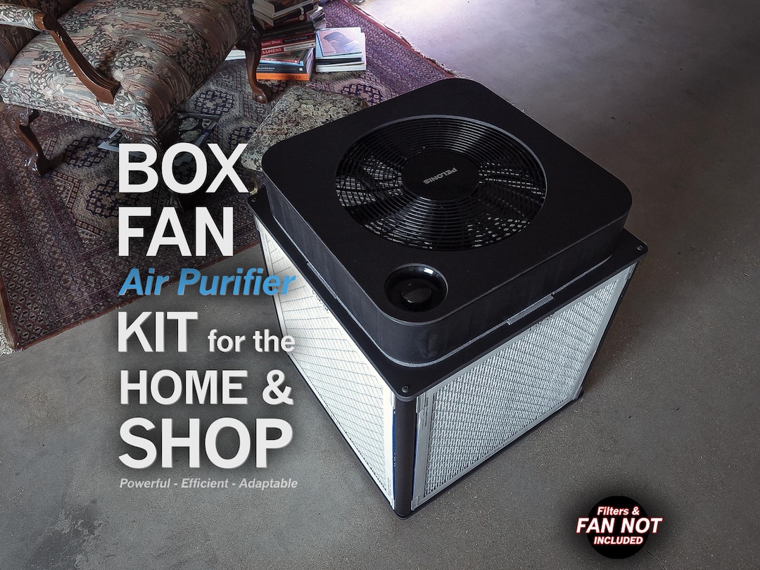 Model-b BOX FAN Edition - Etsy